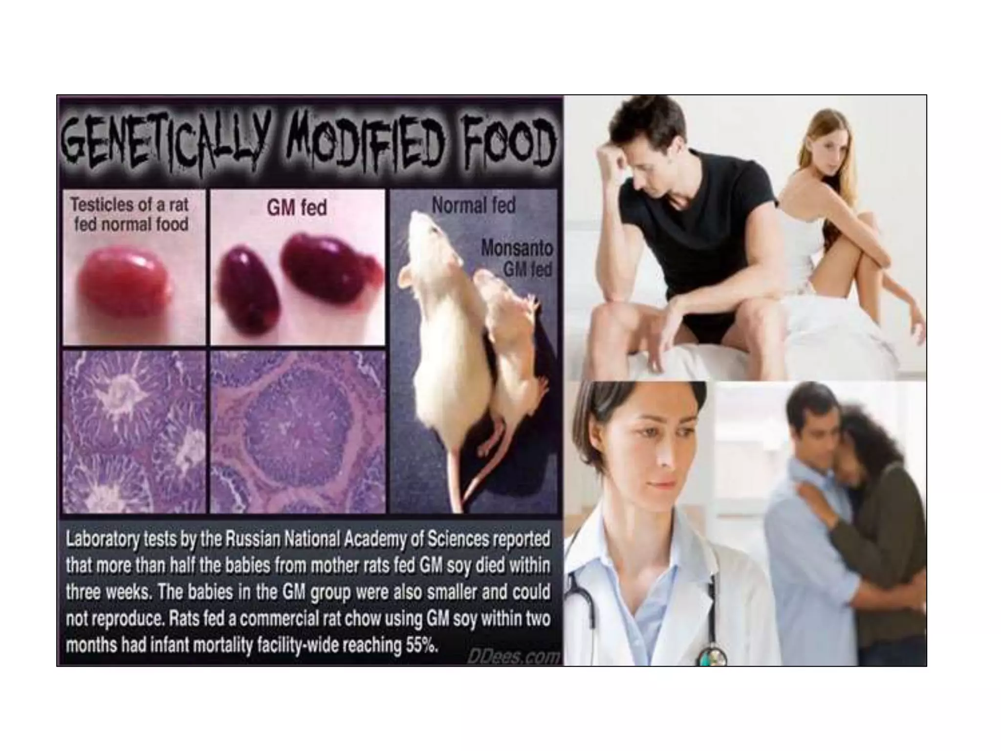 Disadvantages of Genetic Modification Organisms (GMOs) | PPTX