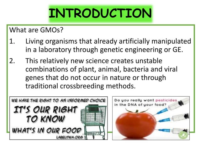 Disadvantages of Genetic Modification Organisms (GMOs) | PPTX | Cancer ...