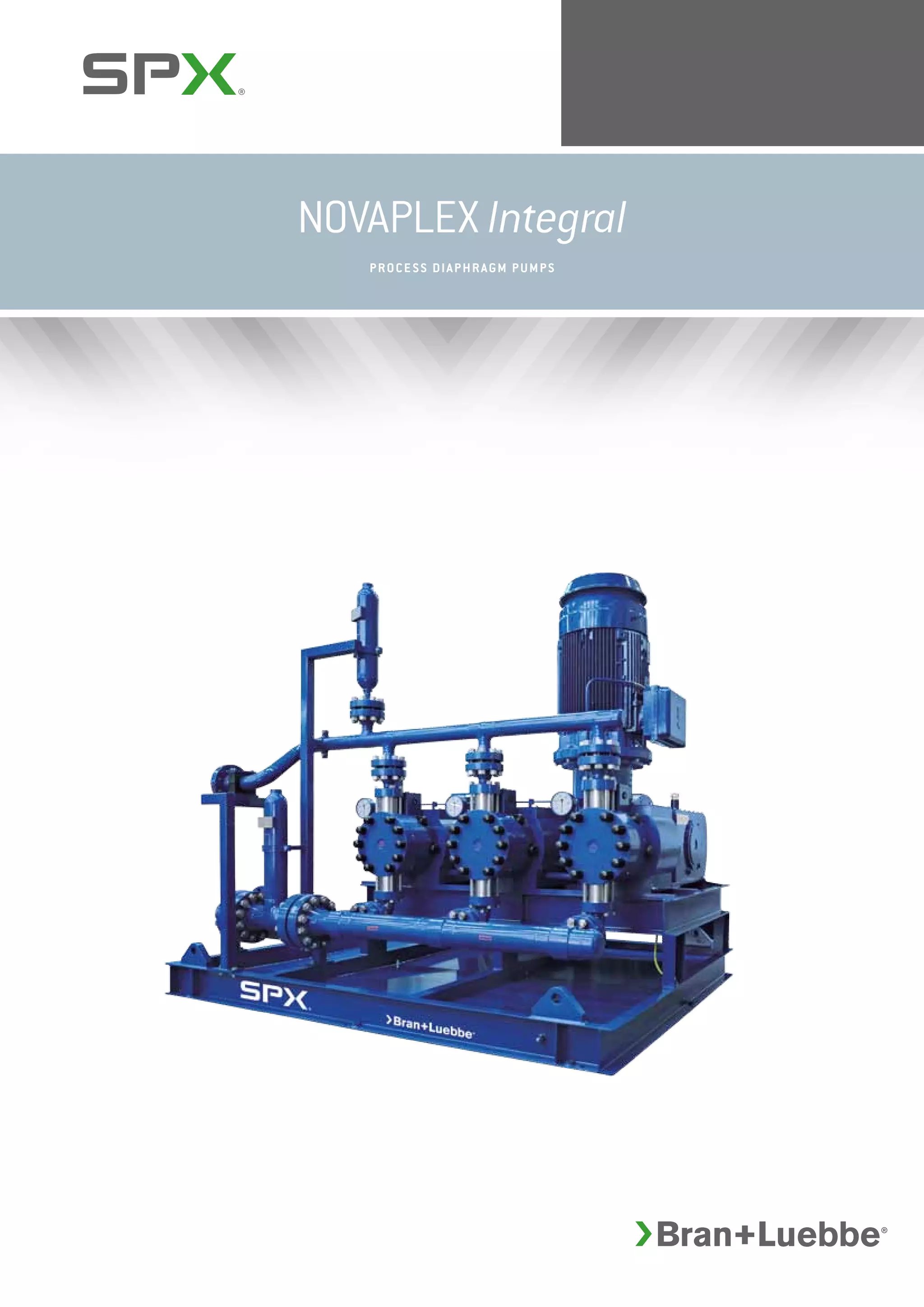 Bl novaplex integral_process_diaphragm_pumps_117_gb | PDF