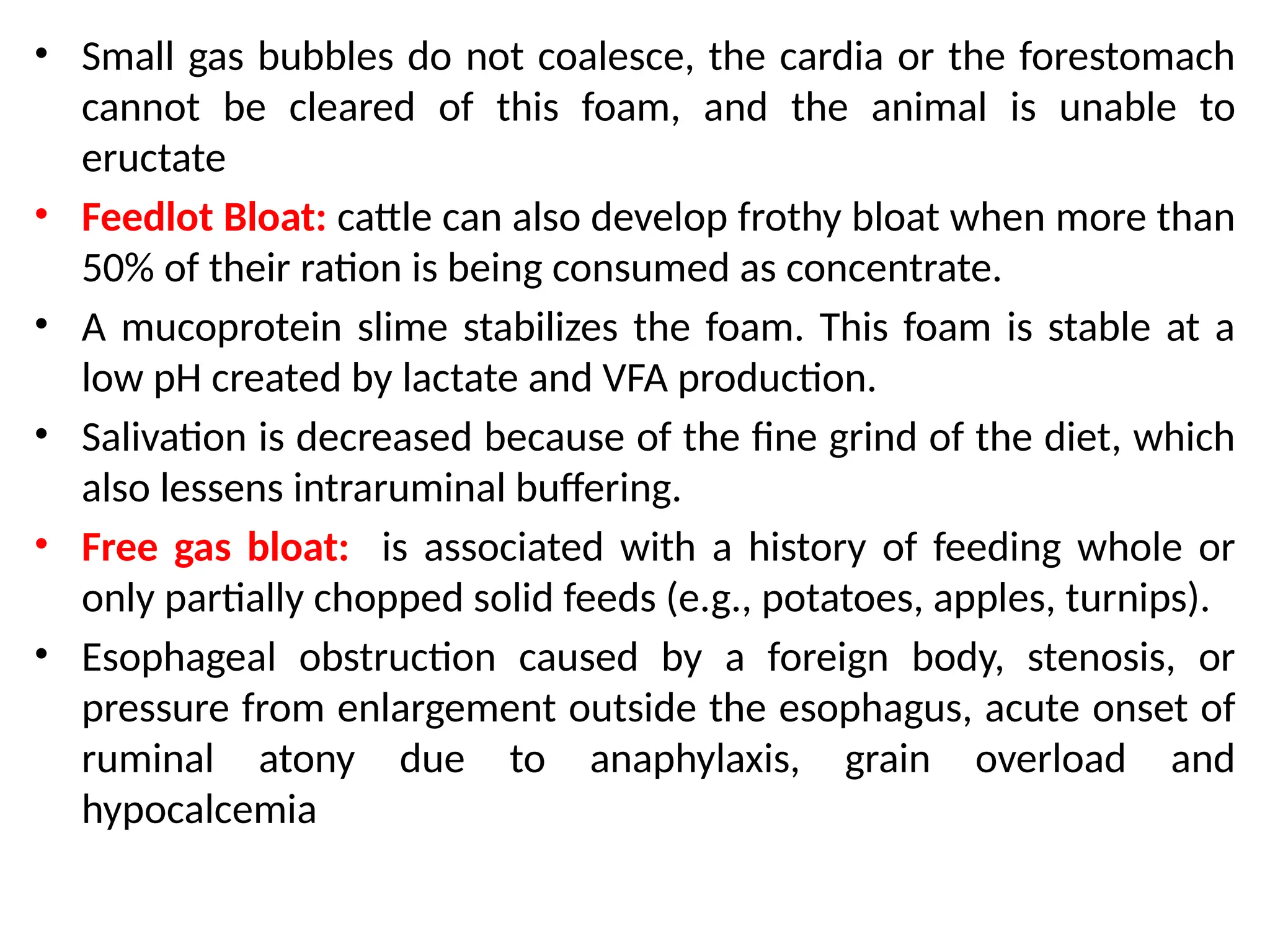 BLOAT in ruminants veterinary medicines.ppt