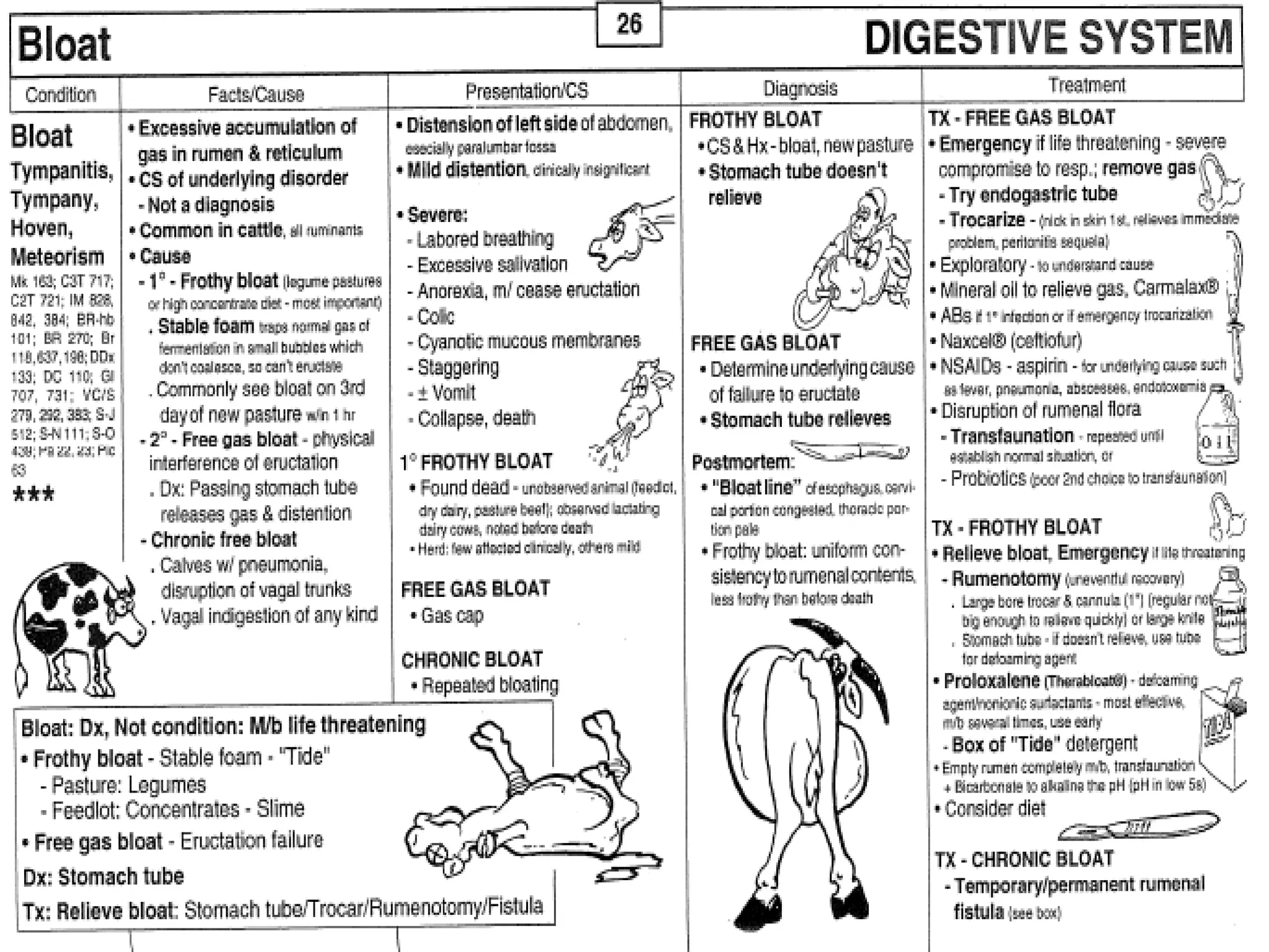 BLOAT in ruminants veterinary medicines.ppt