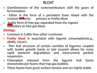 BLOAT in ruminants veterinary medicines.ppt