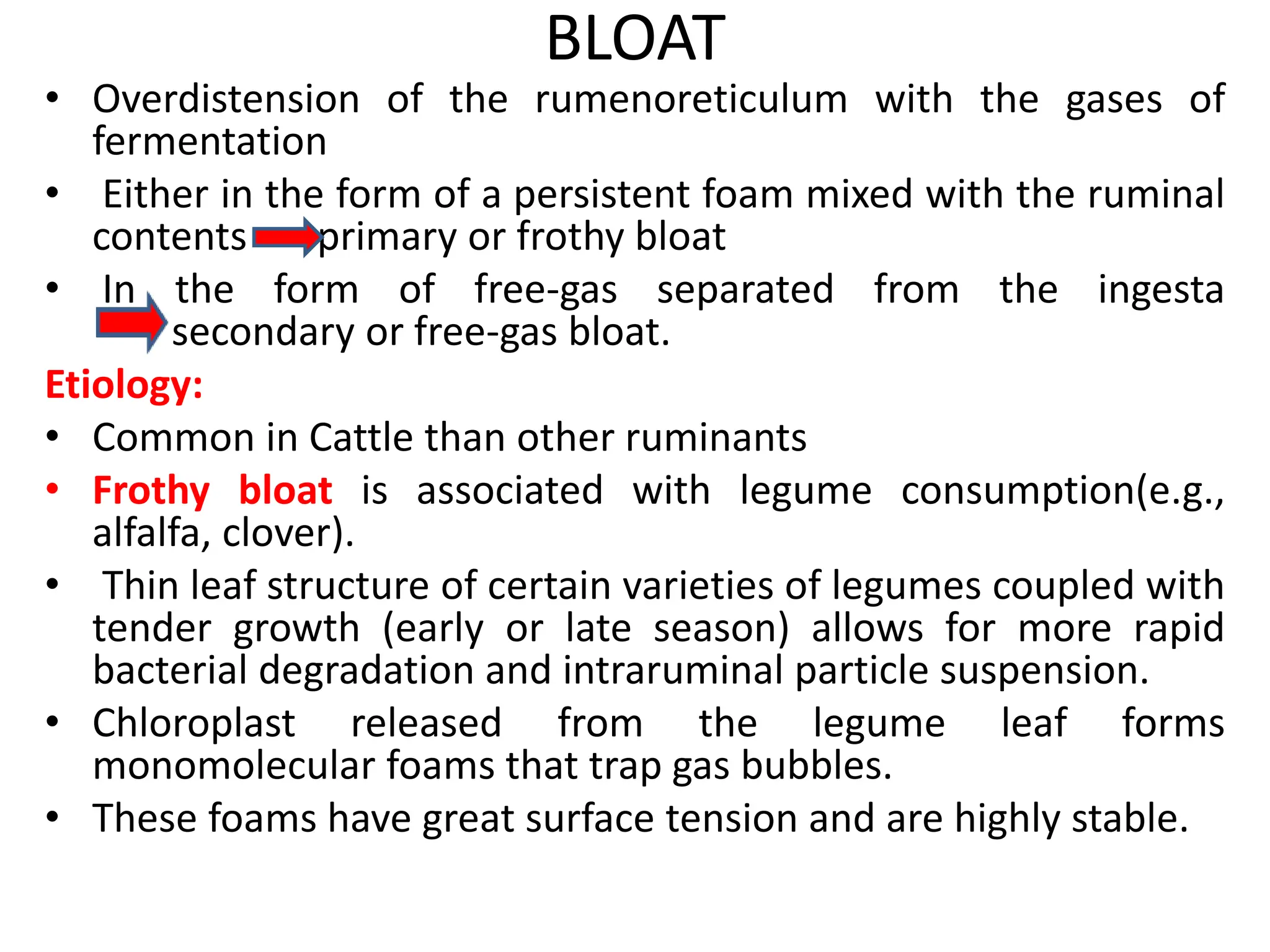 BLOAT (1).pptx TYMPANY IN RUMINANT OR LARGE ANIMAL | PPTX