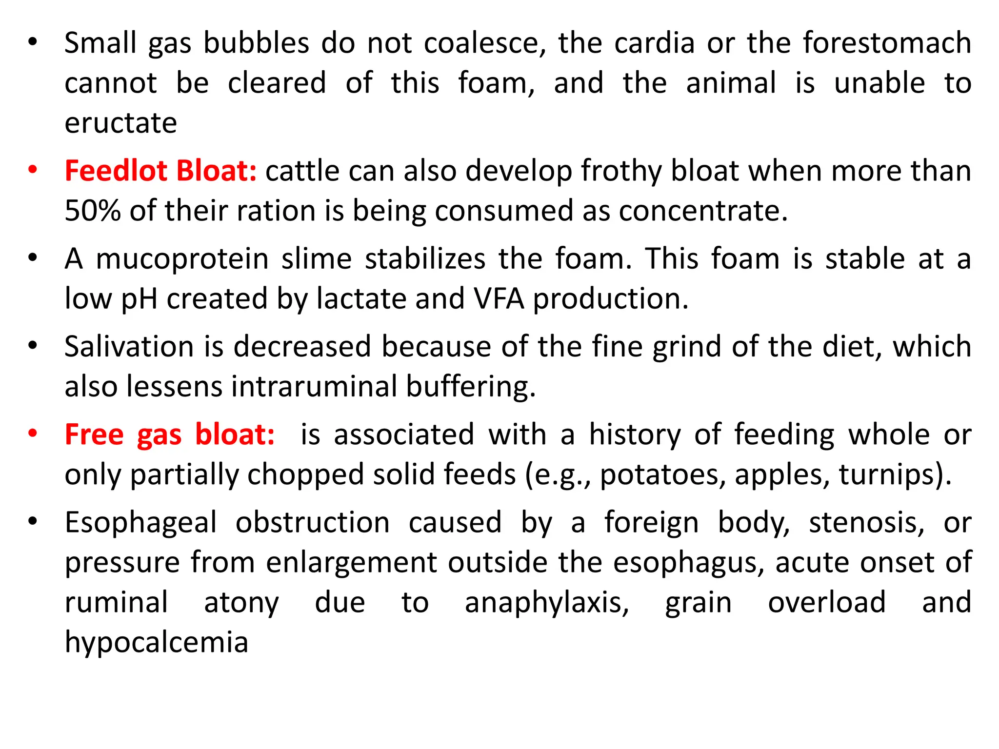 BLOAT (1).pptx TYMPANY IN RUMINANT OR LARGE ANIMAL | PPTX