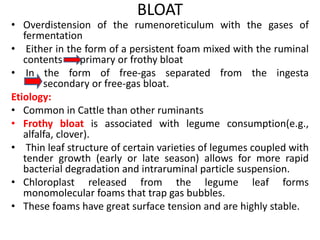 BLOAT (1).pptx TYMPANY IN RUMINANT OR LARGE ANIMAL | PPTX