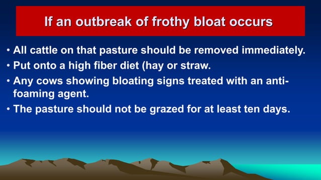 Bloat in ruminant prof.dr hamed attia | PDF