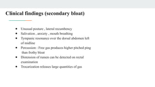 A class seminar on Bloat in ruminants.pptx