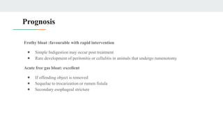 A class seminar on Bloat in ruminants.pptx
