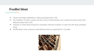 A class seminar on Bloat in ruminants.pptx