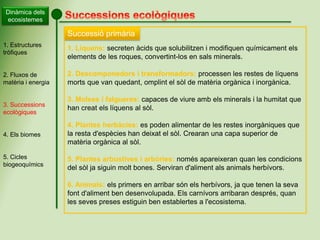 Biologia PAU. Ecologia. Dinàmica dels ecosistemes. CAT | PDF