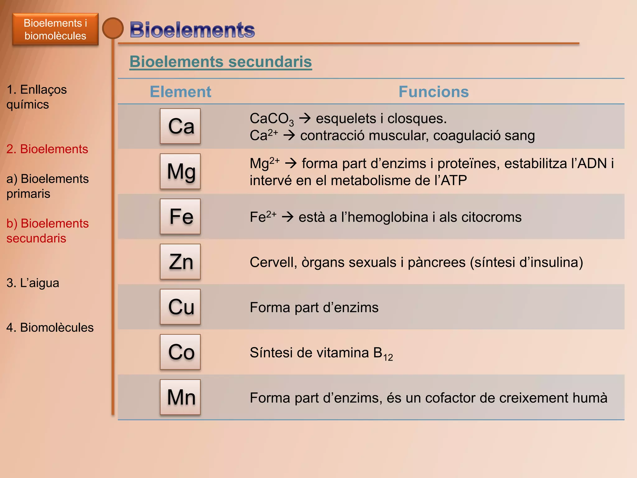 Biologia PAU. Bioquímica. Bioelements i biomolècules. CAT | PDF