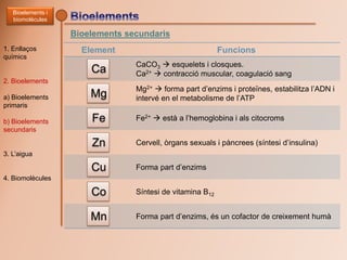 Biologia PAU. Bioquímica. Bioelements i biomolècules. CAT | PDF