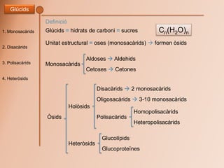 Biologia PAU. Bioquímica. Glúcids. CAT | PDF