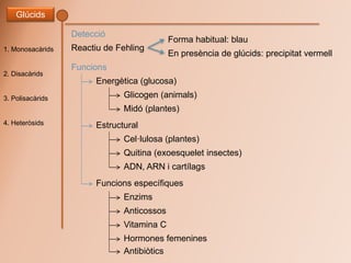 Biologia PAU. Bioquímica. Glúcids. CAT | PDF