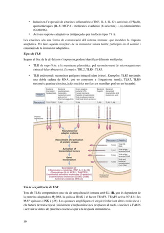 Bloc a1. immuno | PDF
