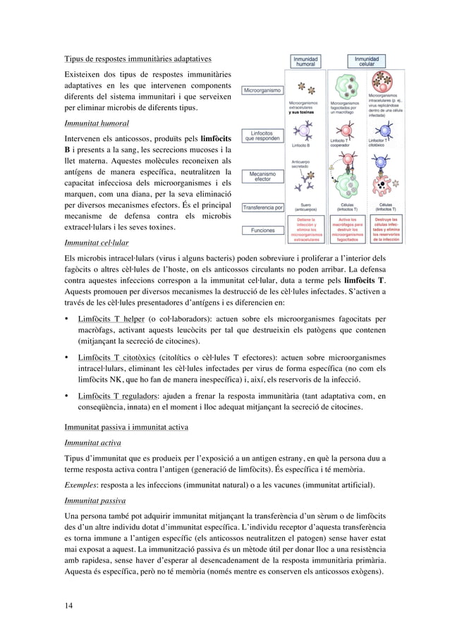 Bloc a1. immuno | PDF