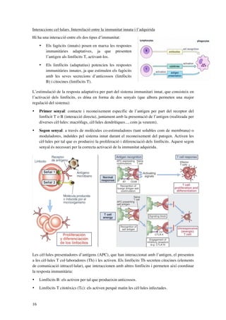 Bloc a1. immuno | PDF