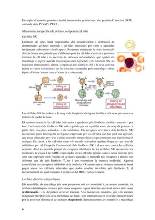 Bloc a1. immuno | PDF