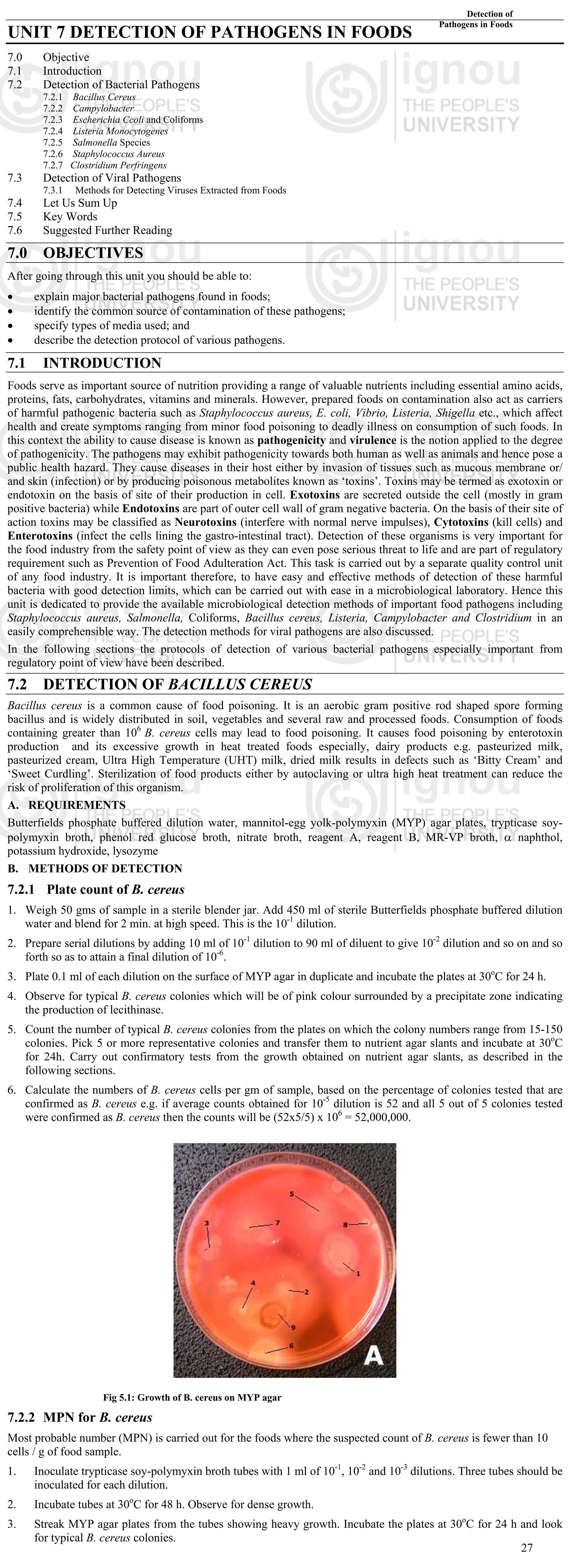 GENERAL TECHNIQUES OF DETECTION AND ENUMERATION OF MICRO-ORGANISMS IN ...
