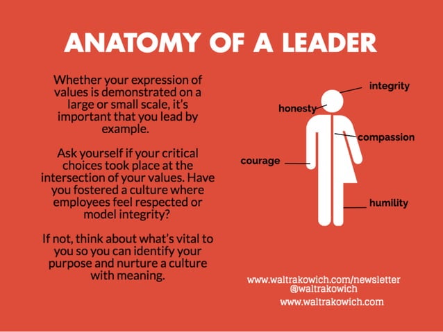 The Anatomy of a Leader | PDF