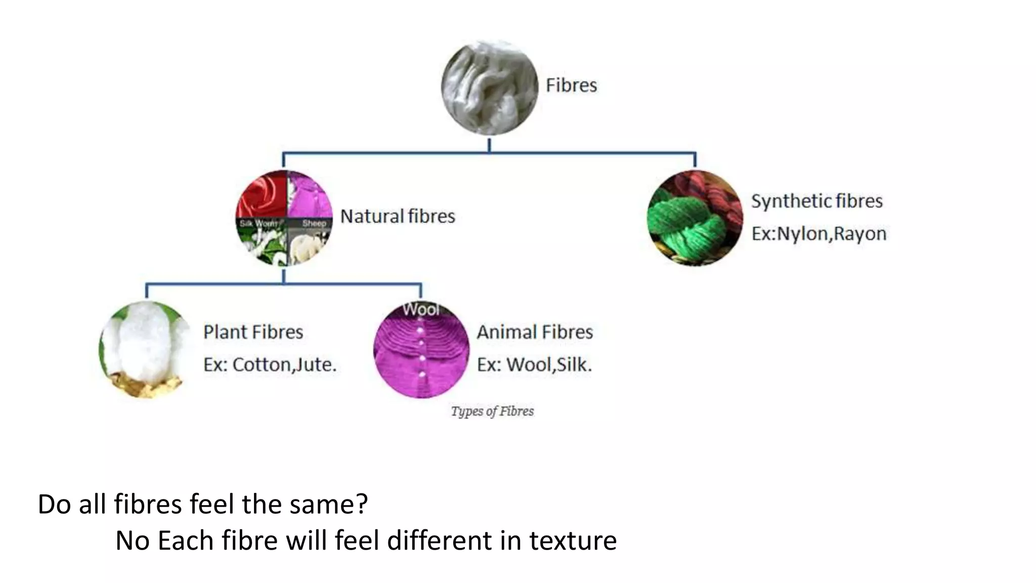 grade 3 Fibres | PPTX