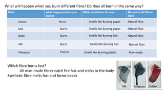 grade 3 Fibres | PPTX