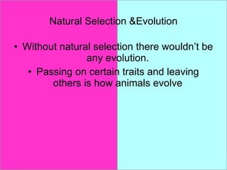 Block2 Natural Selection | PPT