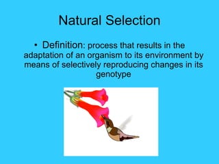 Block2 Natural Selection | PPT