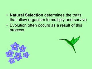 Block2 Natural Selection | PPT