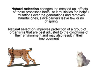 Block2 Natural Selection | PPT
