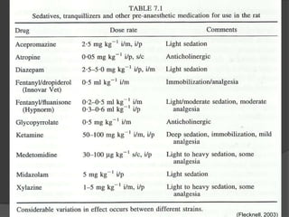 Rat Anesthesia | PPTX