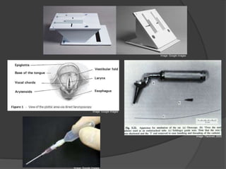 Rat Anesthesia | PPTX