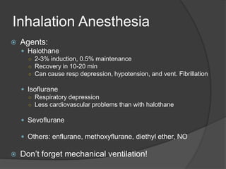 Rat Anesthesia | PPTX