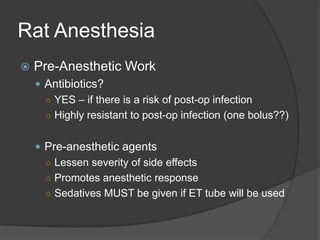 Rat Anesthesia | PPTX