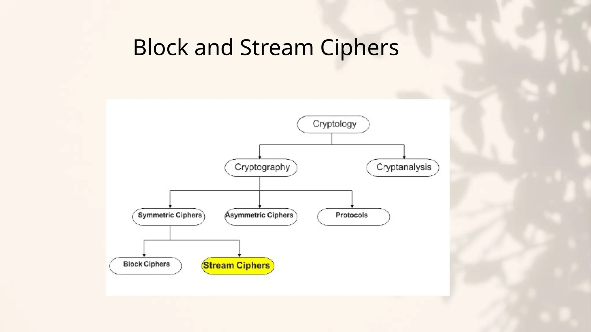 Difference between Block and Stream Ciphers.pptx