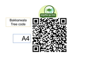 Block A Tree QR codes final bakkarwala tree census codes | PDF
