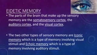 Blockbuster project | PPT