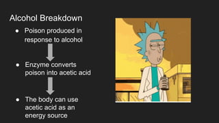 Megan's Alcoholism Project | PPT