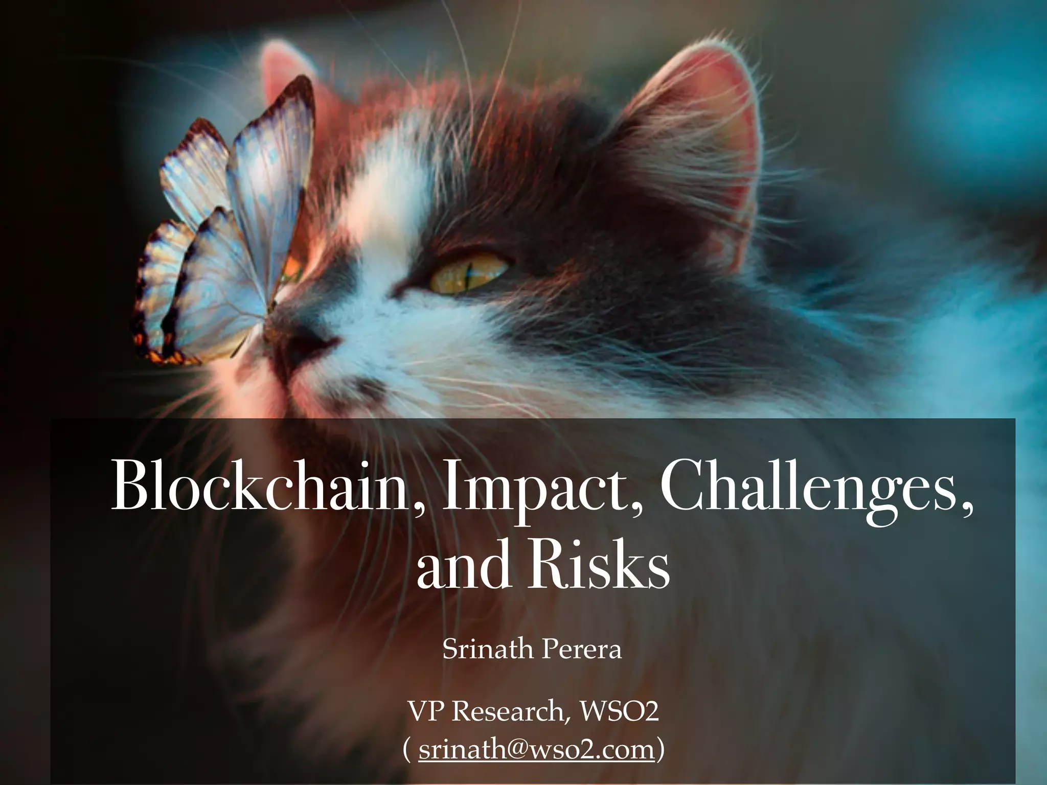 Blockchain, Impact, Challenges, and Risks | PDF