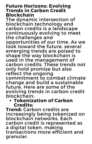 Blockchain and Carbon Credits A Perfect Match.pdf