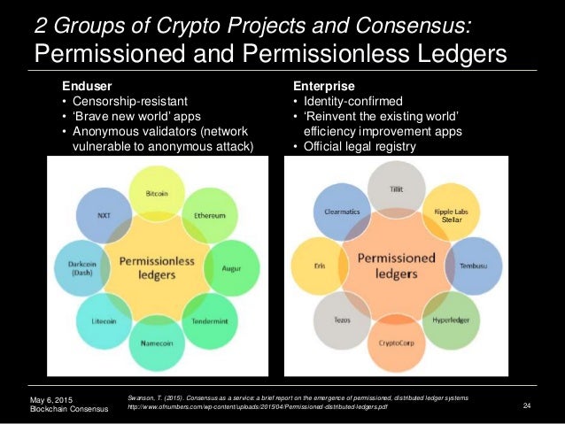 Blockchain Consensus Protocols 