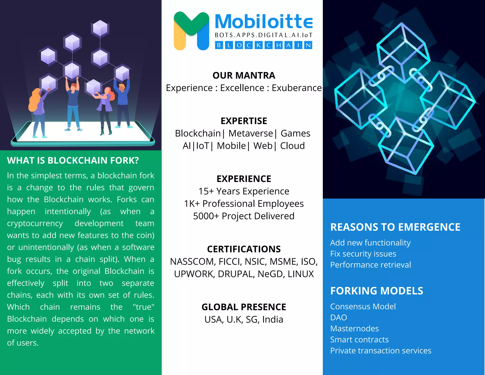 Blockchain Fork Development | PPT