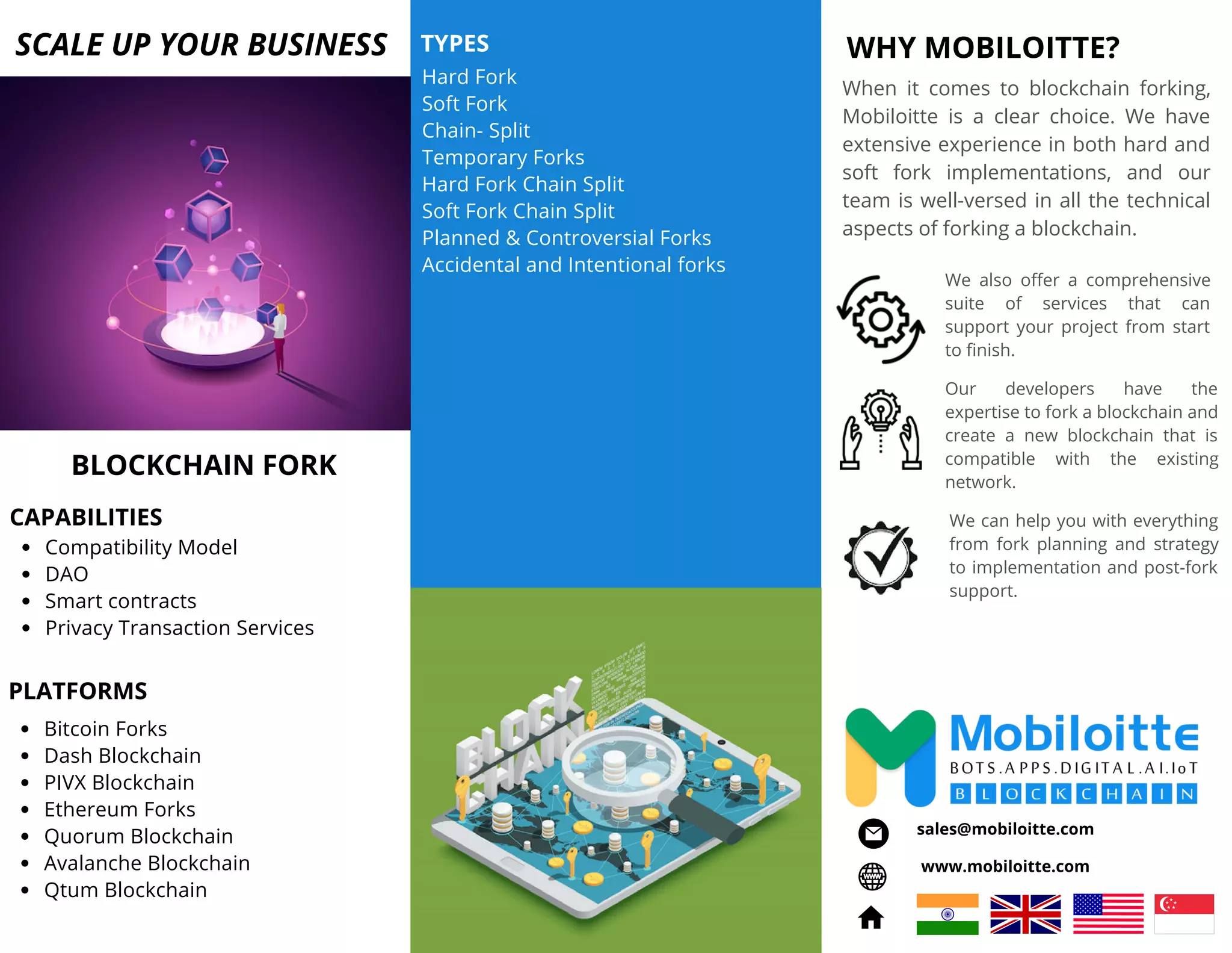 Blockchain Fork Development | PPT