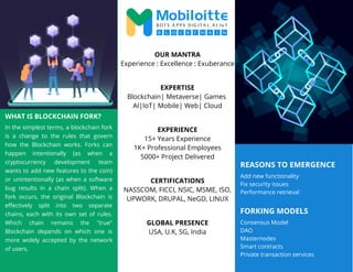 Blockchain Fork Development | PDF