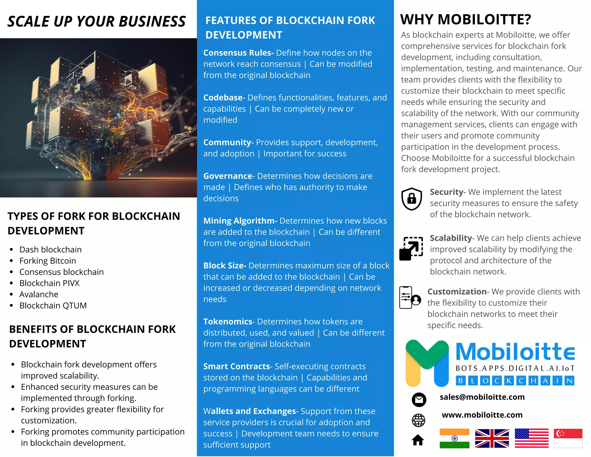 Blockchain Fork Development | PDF | Programming Languages | Computing