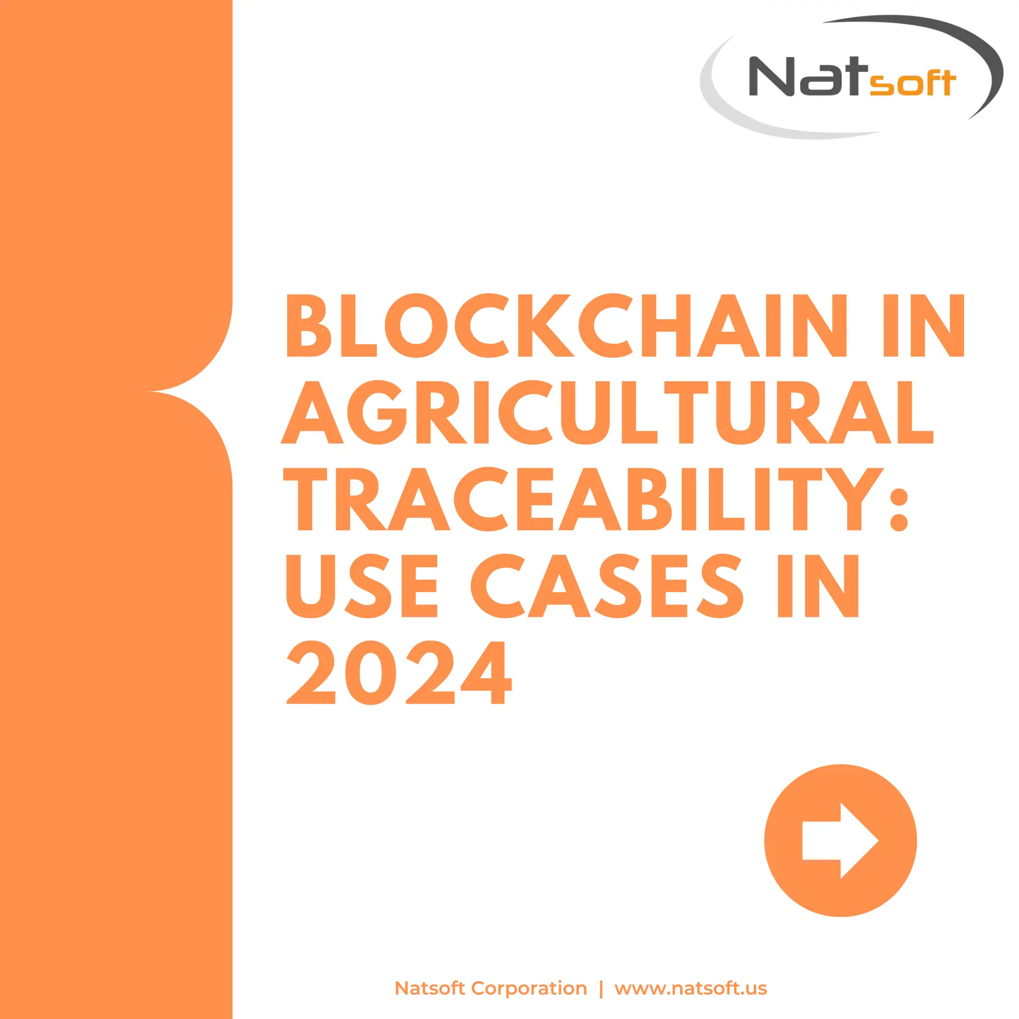 Blockchain in Agricultural Traceability Use Cases in 2024.pdf