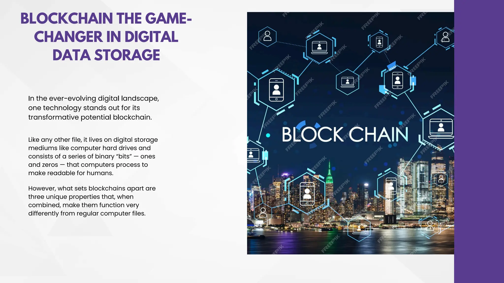 Rene Fischer Bernard CEO of LuxTag and Blockchain Pioneer | PDF