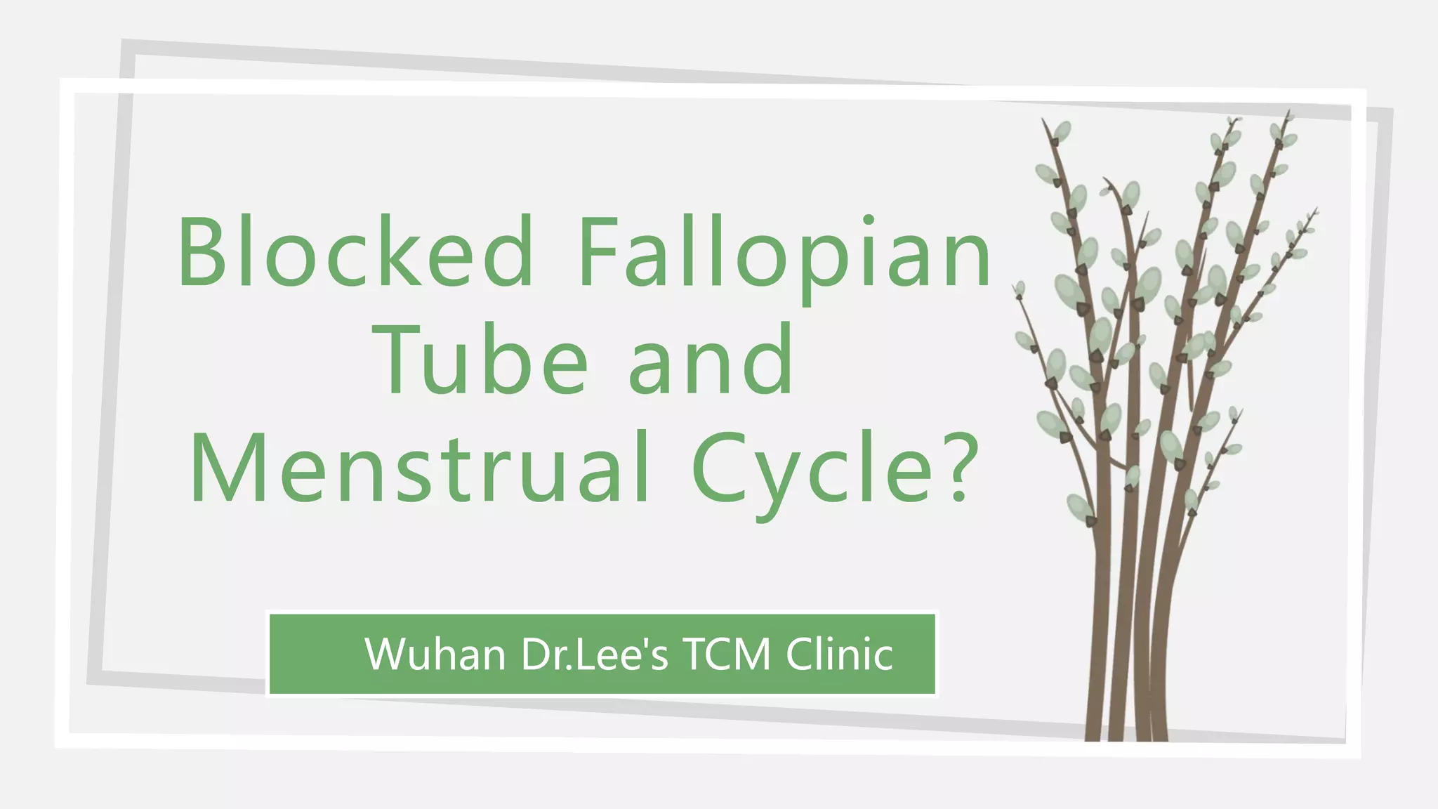 Blocked fallopian tube and menstrual cycle | PPT