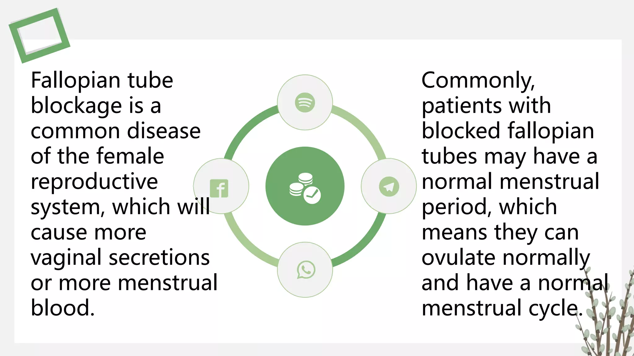 Blocked fallopian tube and menstrual cycle | PPT