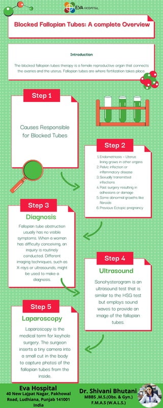 Blocked Fallopian Tubes A Complete Overview Pdf